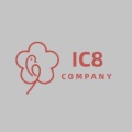 IC8 company IPA for iOS(iPhone/iPad) Download - PGYER.COM