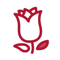 Roser Box APK for Android Download - PGYER.COM